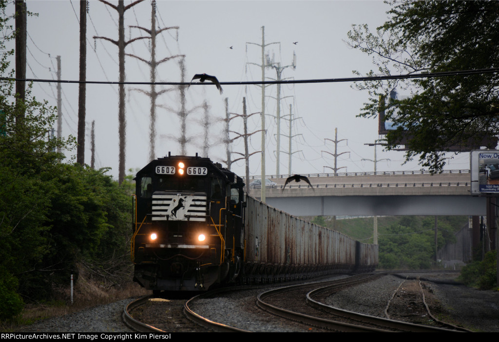 NS 6602 H48 With "Top Gon" Empties for Abrams (and Birds)